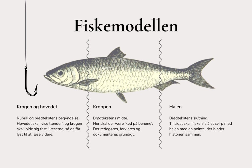 Fiskemodellen - Skoleavis